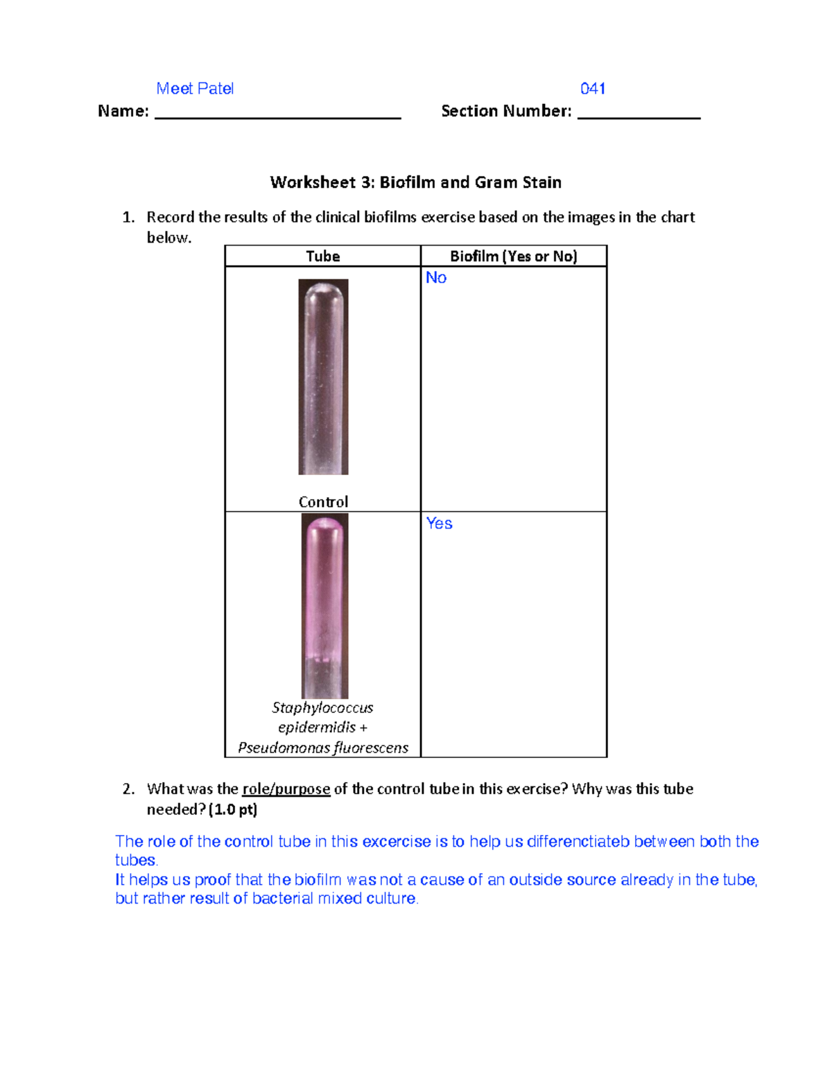 Worksheet 3: Biofilm and Gram Stain - Warning: TT: undefined function ...