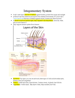 Contact dermatitis - quick facts - Contact dermatitis delayed ...