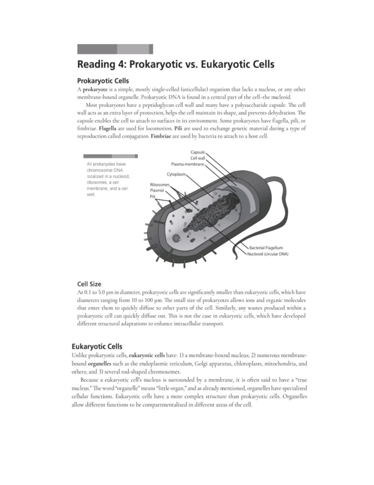 Reading Material 3 - Prokaryotic Cells VS Eukaryotic Cells - Reading 4 ...
