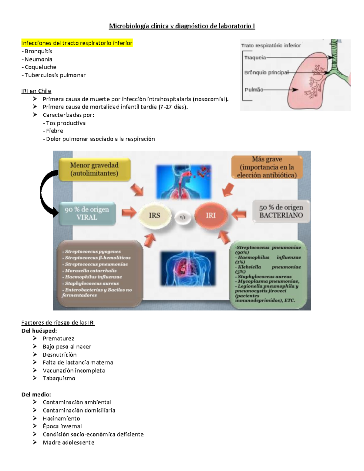 Infecciones del tracto respiratorio inferior - Primera causa de ...
