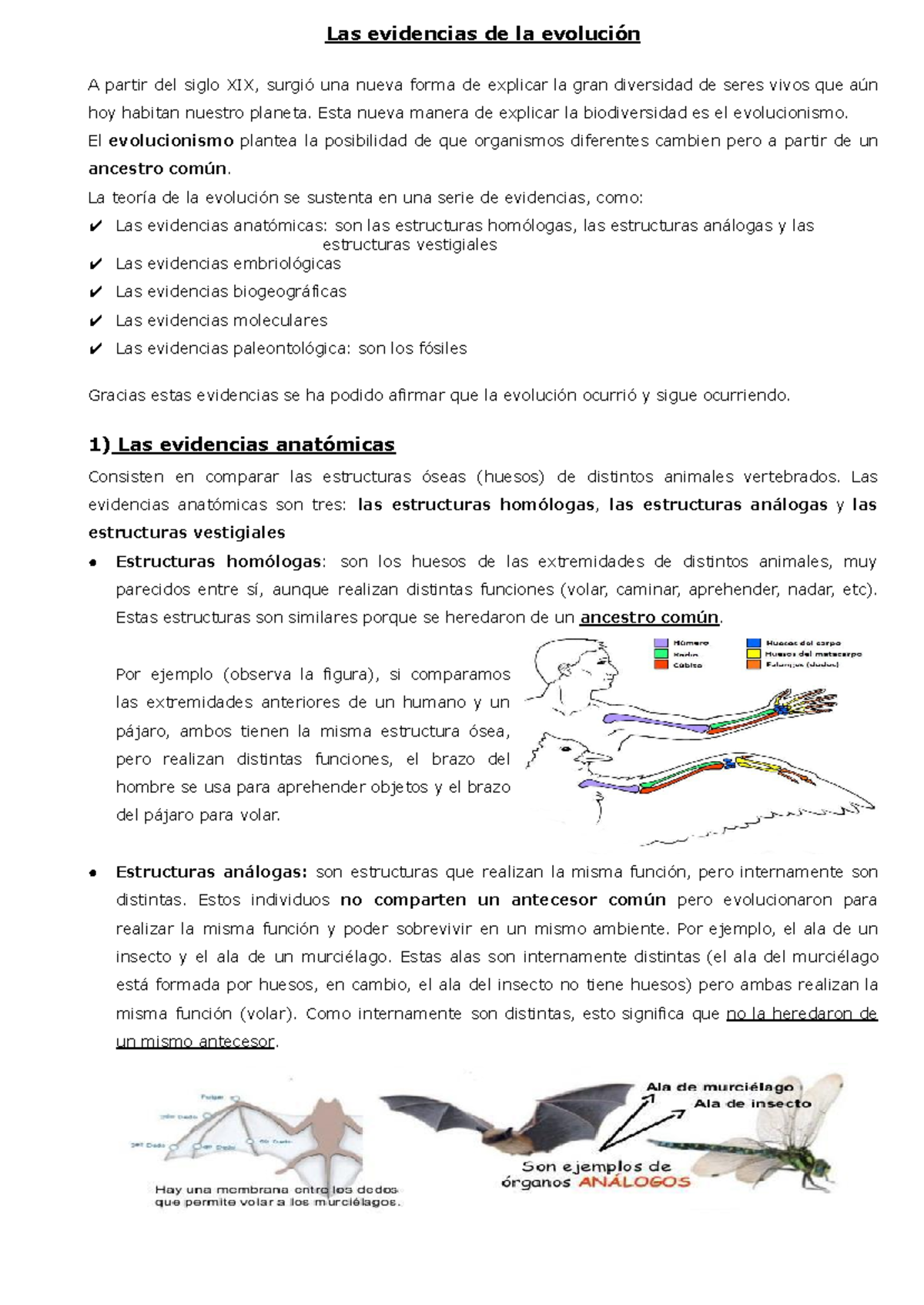 Evidencias de la evolución - Las evidencias de la evolución A partir ...