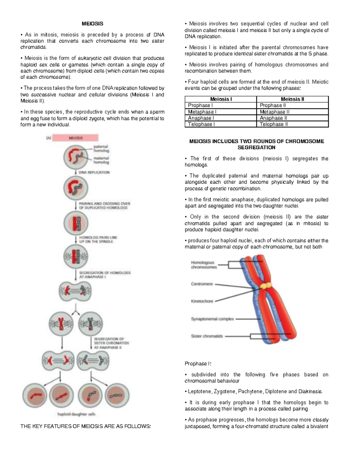 Cytogenetics - meiosis - MEIOSIS As in mitosis, meiosis is preceded by ...