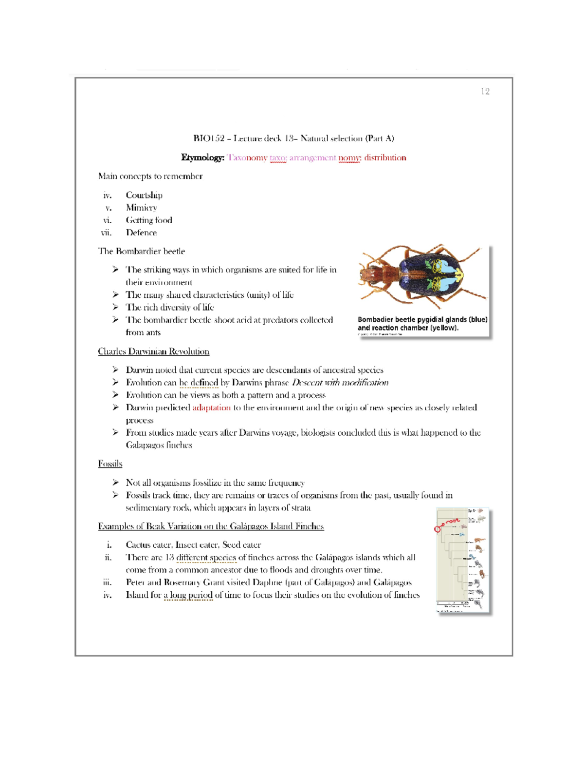 Bio Bio152 Lecture Notes Utm Natural Selection Part A 12 Bio152