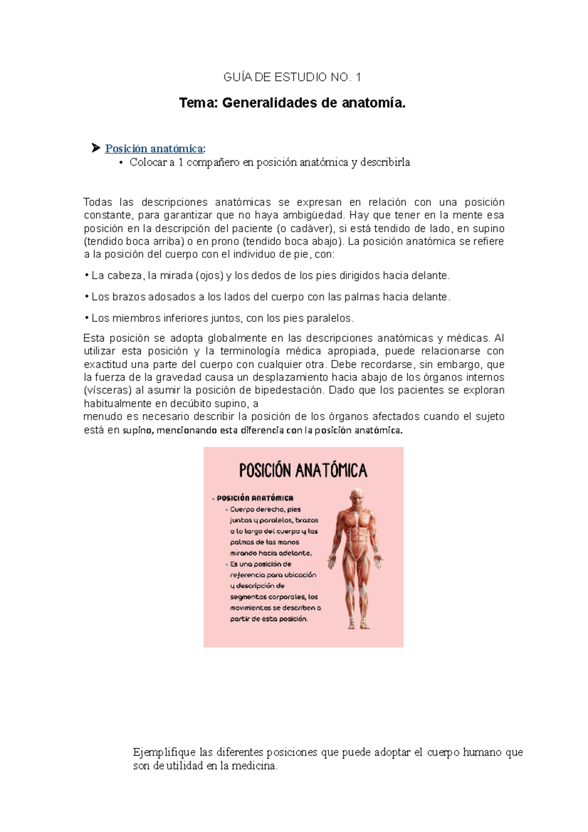 GUIA DE Anatomia N111 - GUÍA DE ESTUDIO NO. 1 Tema: Generalidades de ...