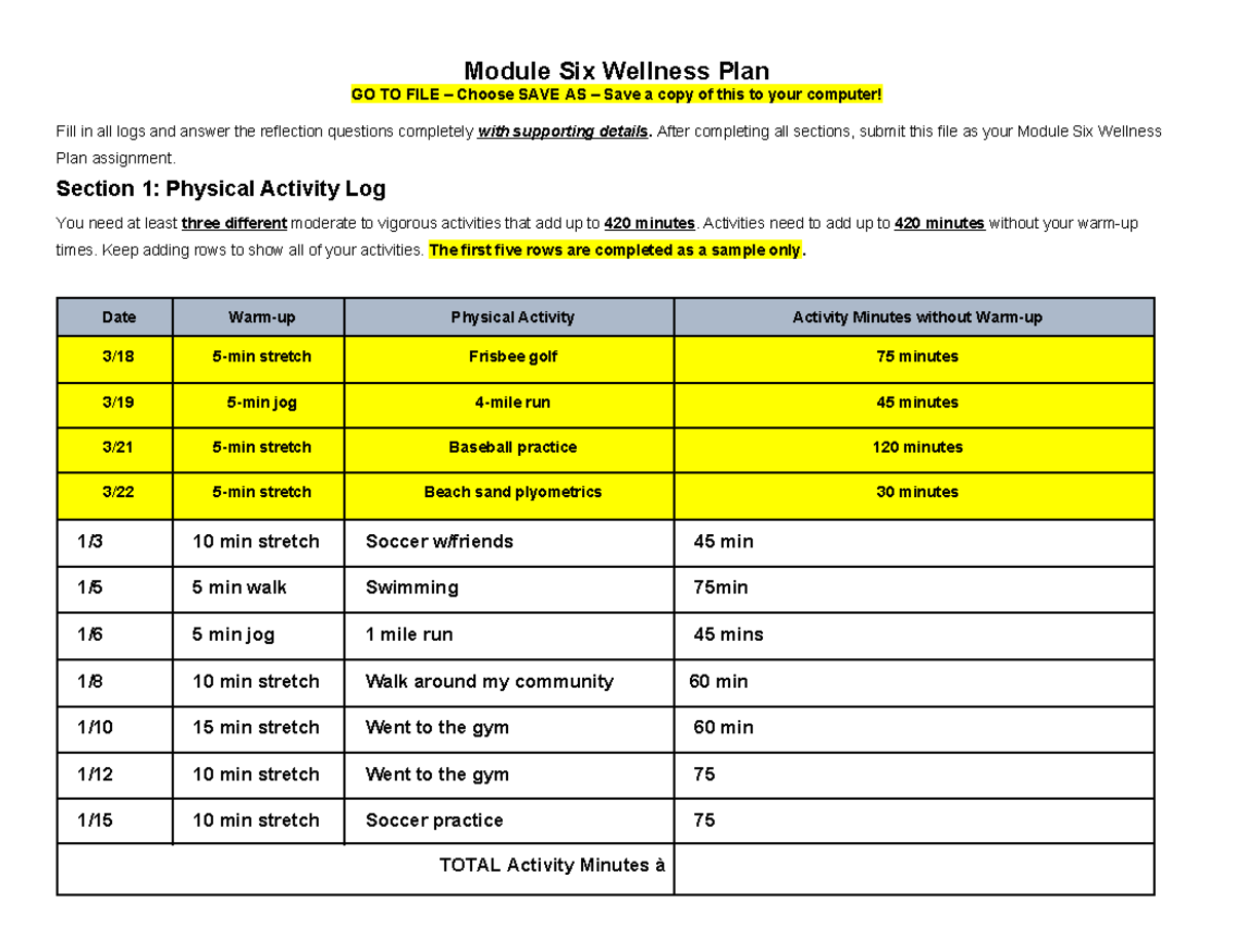 Module 6 Wellness Plan Assignment: Physical Activity Log - Module Six ...