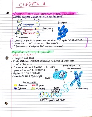 Intro to light microscope - Introduction to the Light Microscope DATA AN D CALCULATIONS 1 Record ...