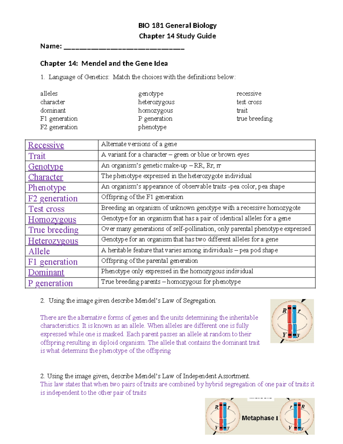 Chapter 14 Study Guide F23 - BIO 181 General Biology Chapter 14 Study ...