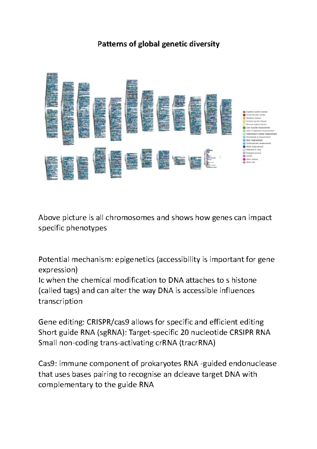 Patterns of global genetic diversity - Studocu