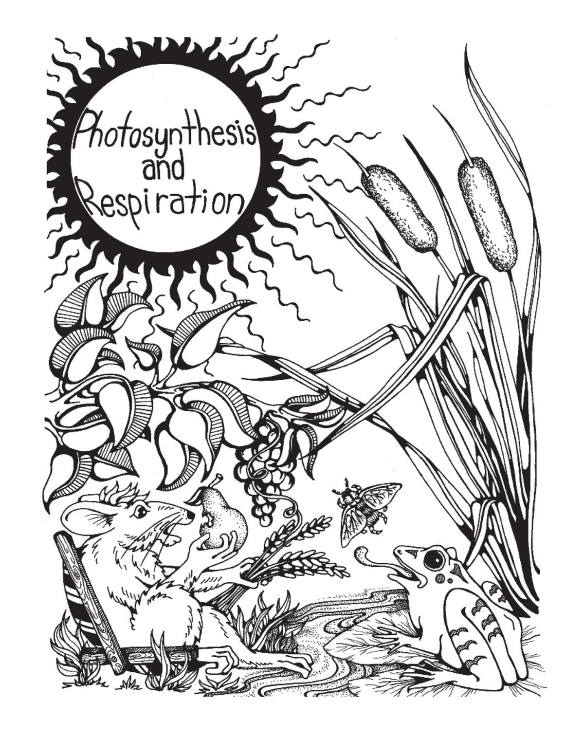 Photosynthesis and Respiration Homework Tutorial - Photosynthesis and ...