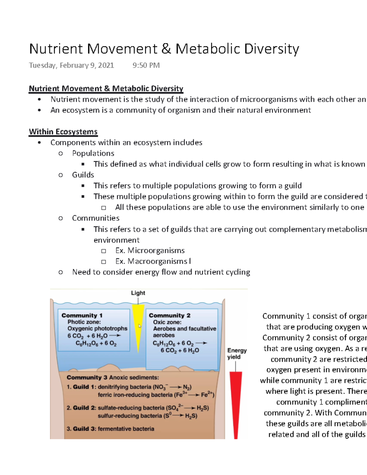 Nutrient Movement & Metabolic Diversity - Nutrient Movement & Metabolic ...