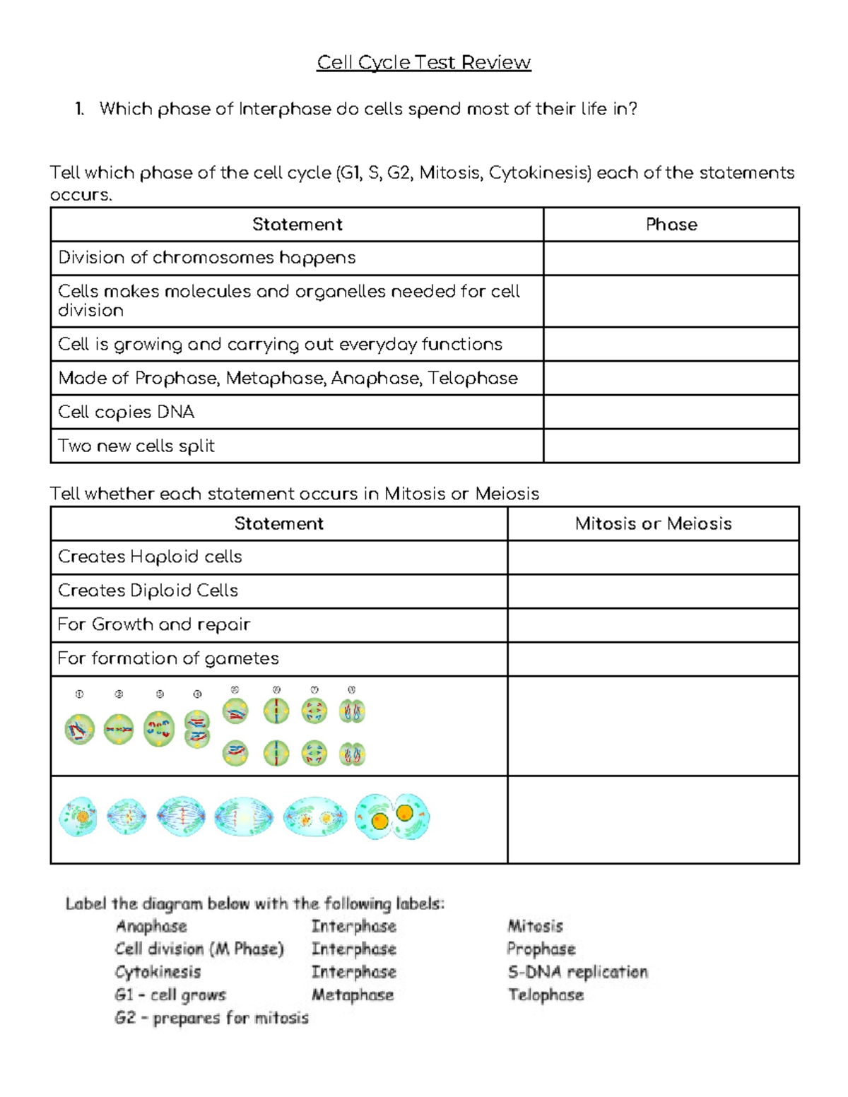 Neelkumar Prajapati - NEW Biology Cell Cycle Test Review - Cell Cycle ...