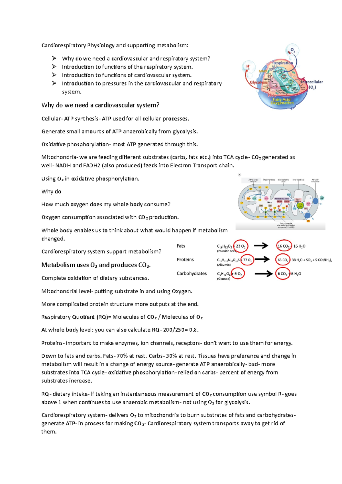 CVRS revision - Cardiorespiratory Physiology and supporting metabolism ...