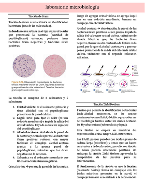 S1 microbiologia - Nnnnkk - Solemne 1 microbiologia Introduccion a la ...