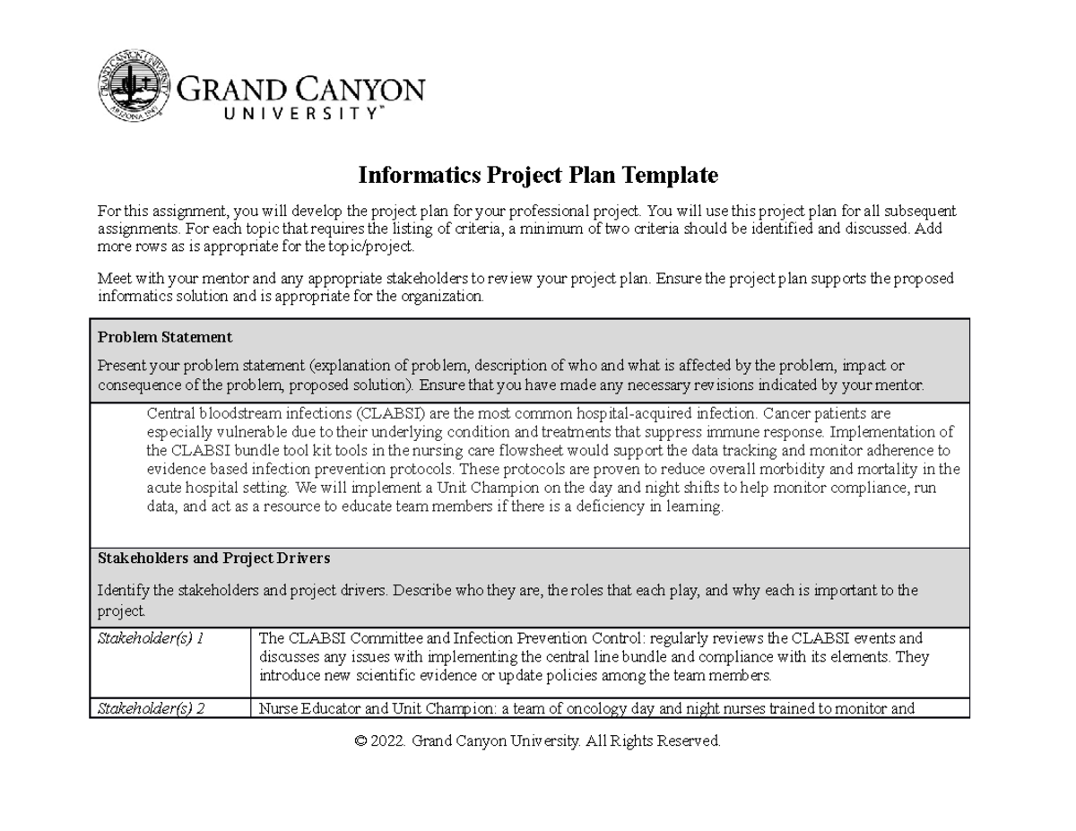 Health Informatics Templatedocx 186930 - Informatics Project Plan ...