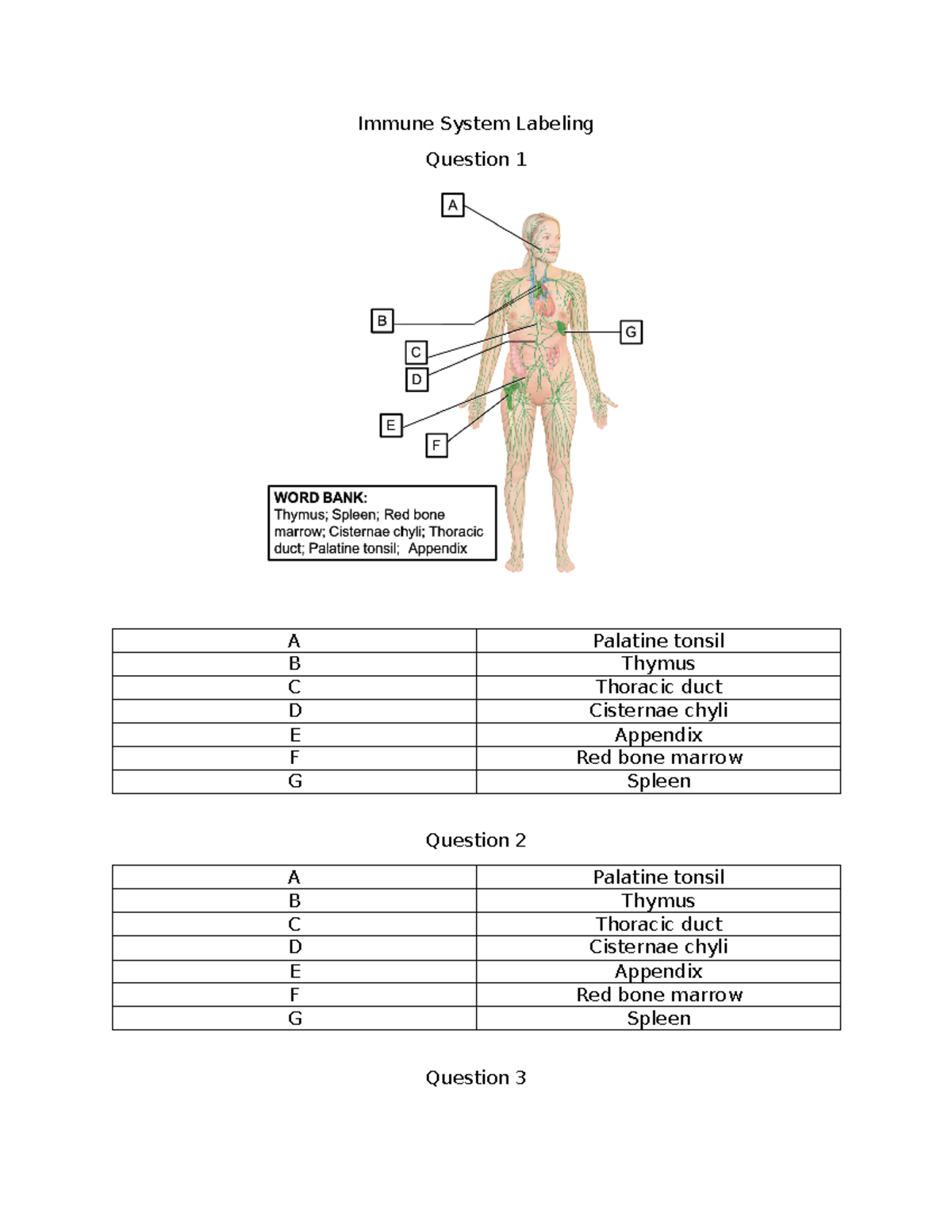 Week 4 Immune System labeling - Immune System Labeling Question 1 A ...
