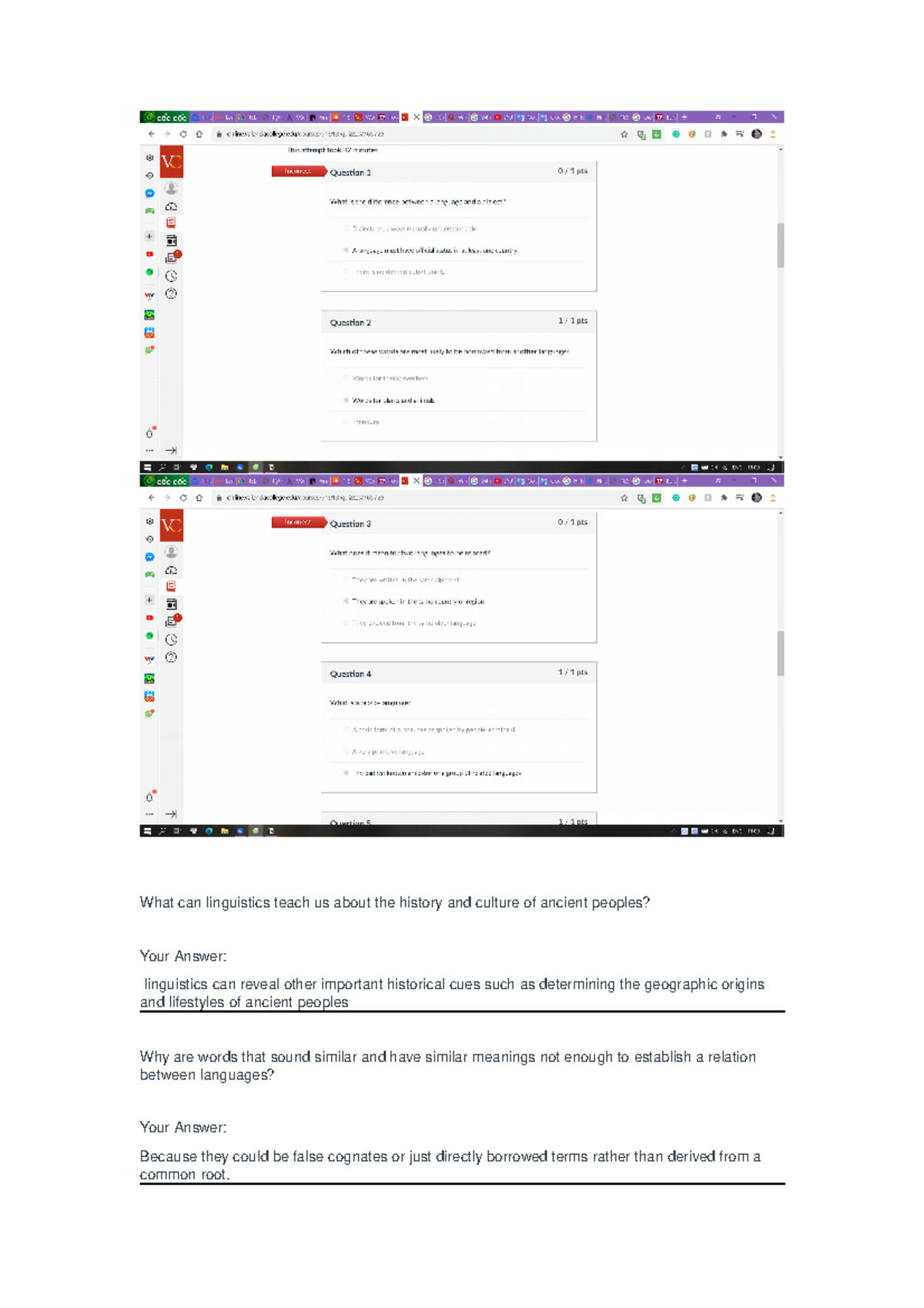 Quizz 1 Low Intermediate Composition For English Language Learners EAP ...