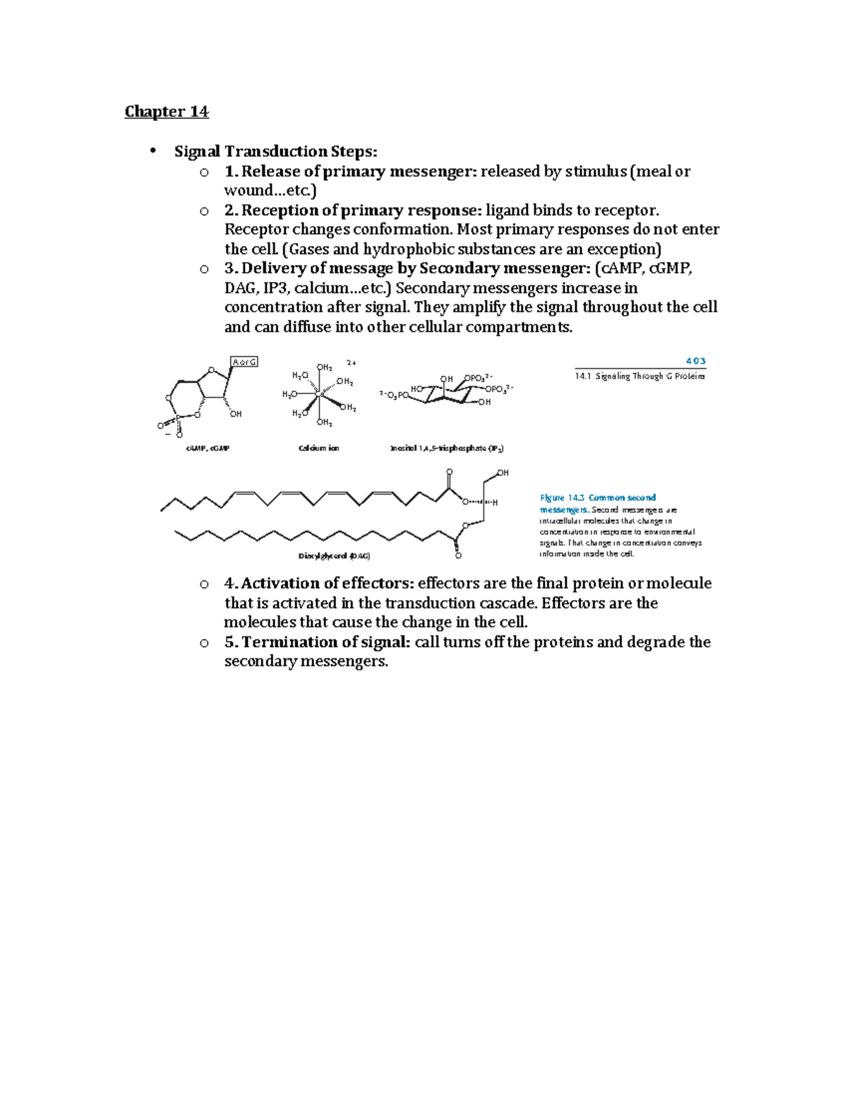 Chapter 14 and 15 notes - Chapter 14 Signal Transduction Steps: o 1 ...