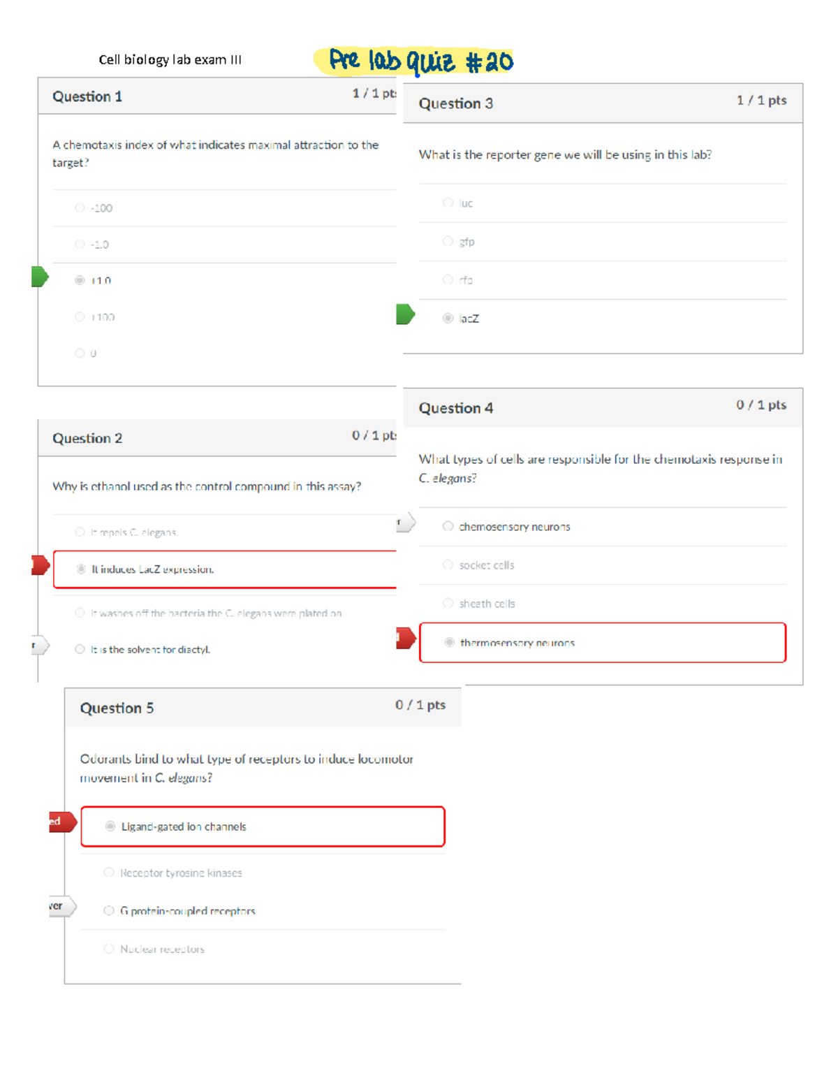 Post lab and results cell biology exam III - Lab 22-23 results and post ...