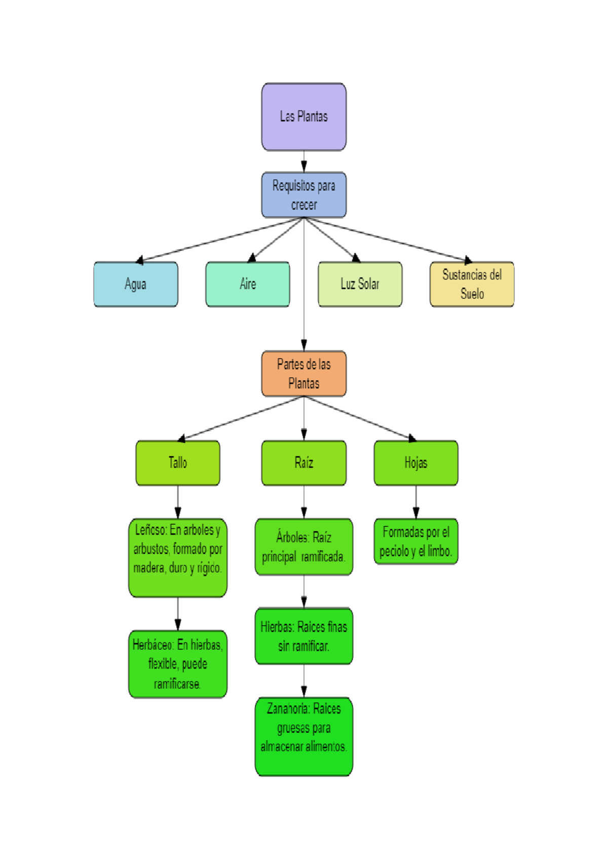 Diagrama lineal - Taller de Lectura y Redacción - Studocu