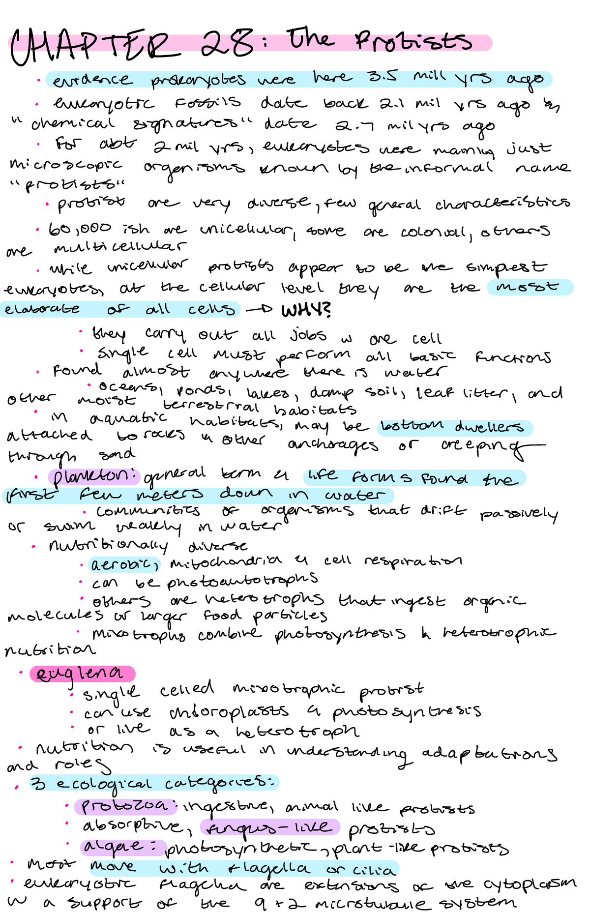 Chapter 28 The Protists - CHAPTER 28 : the Protists evidence ...