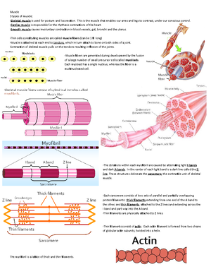 Tgmd3-score sheet - V IMPORTANT FOR LAB TGMD-3 WORK DONE - Madison ...