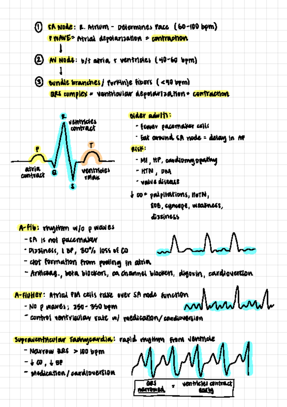 Electrical Conduction Cheat Sheet - ① SANode:R. Atrium - Determines ...