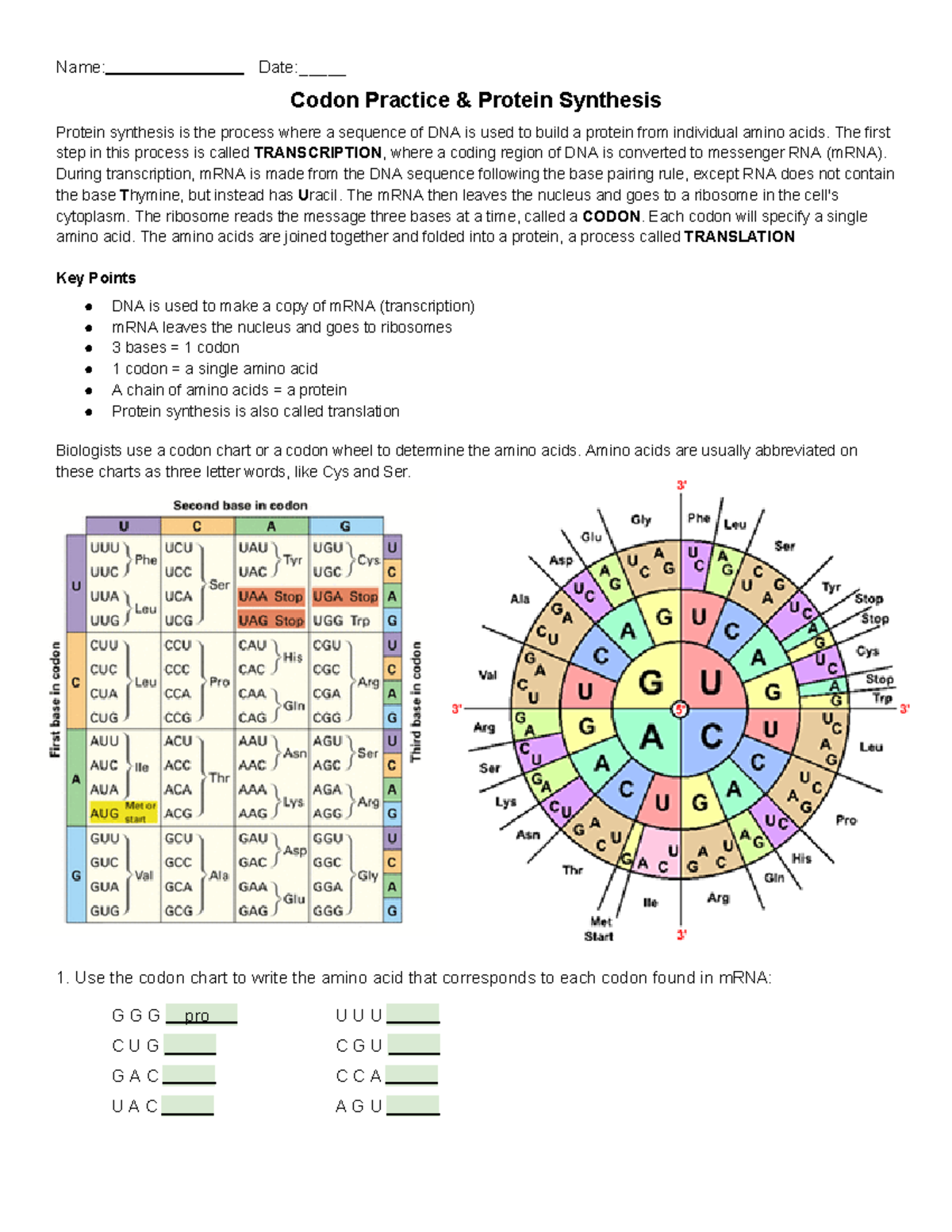 - Protein Syn + Codons Practice - DL - Name:. Date:_____ Codon Practice & Protein Synthesis ...