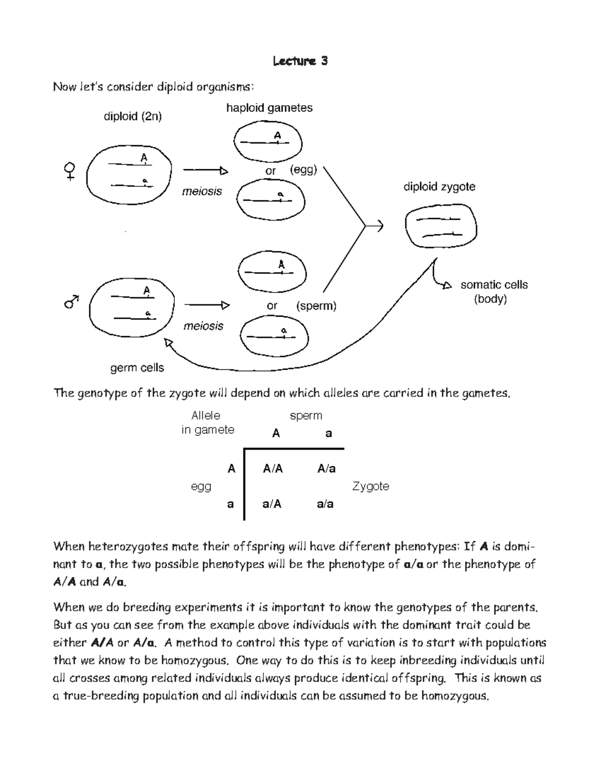 Mendelian Genetics - Lecture notes 1-4 - Lecture 3Lecture 3Lecture ...