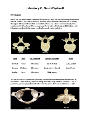 Laboratory 01 - Tissues and the Integumentary System-1 - Laboratory #1 ...