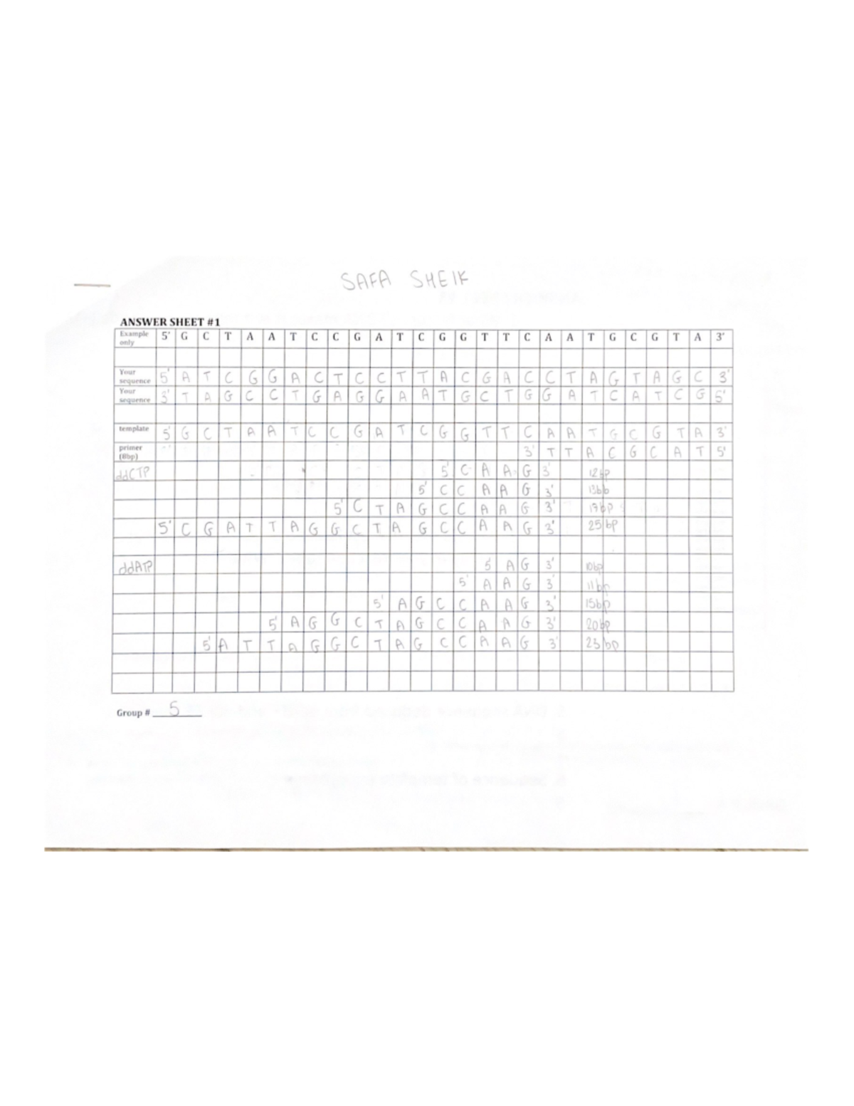 Lab Excercise #1 Lab Excercise #1Lab Excercise #1Lab Excercise #1Lab ...