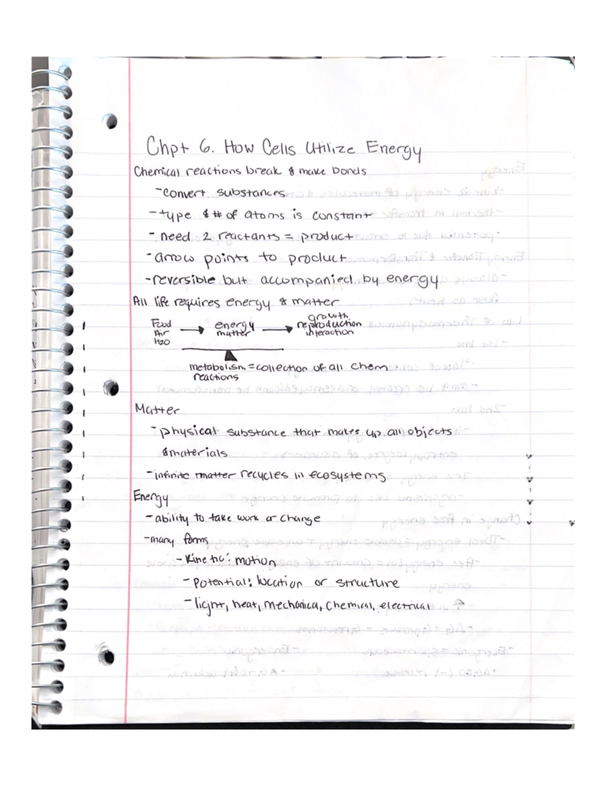 Energy in Cells - BIOL 110 - Studocu