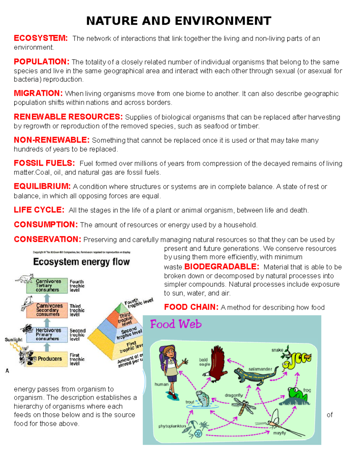 Quizbeereviewer 1 - NATURE AND ENVIRONMENT ECOSYSTEM: The network of ...