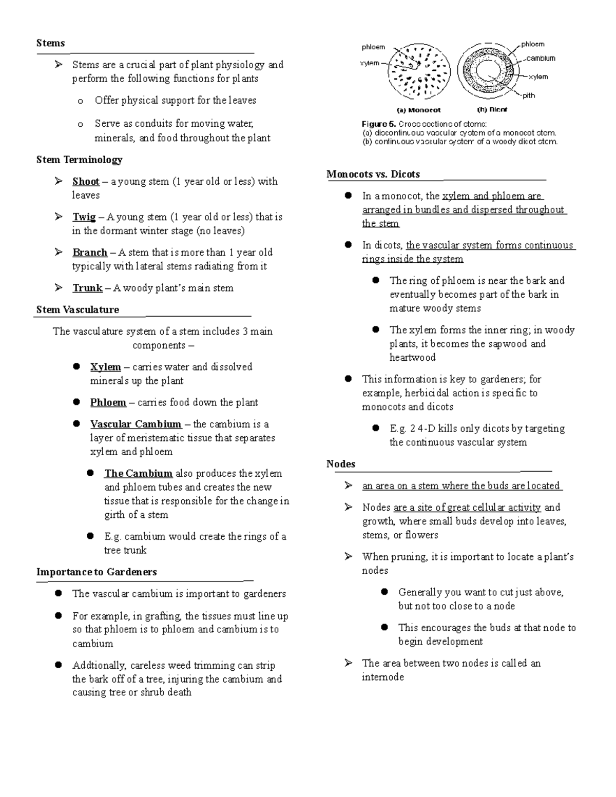 Stems - Lecture notes 3 - Stems Stems are a crucial part of plant ...
