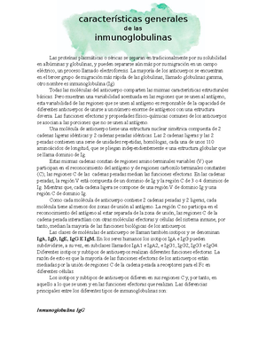 Disección anatómica de ratón y observación de órganos linfoides y sus ...