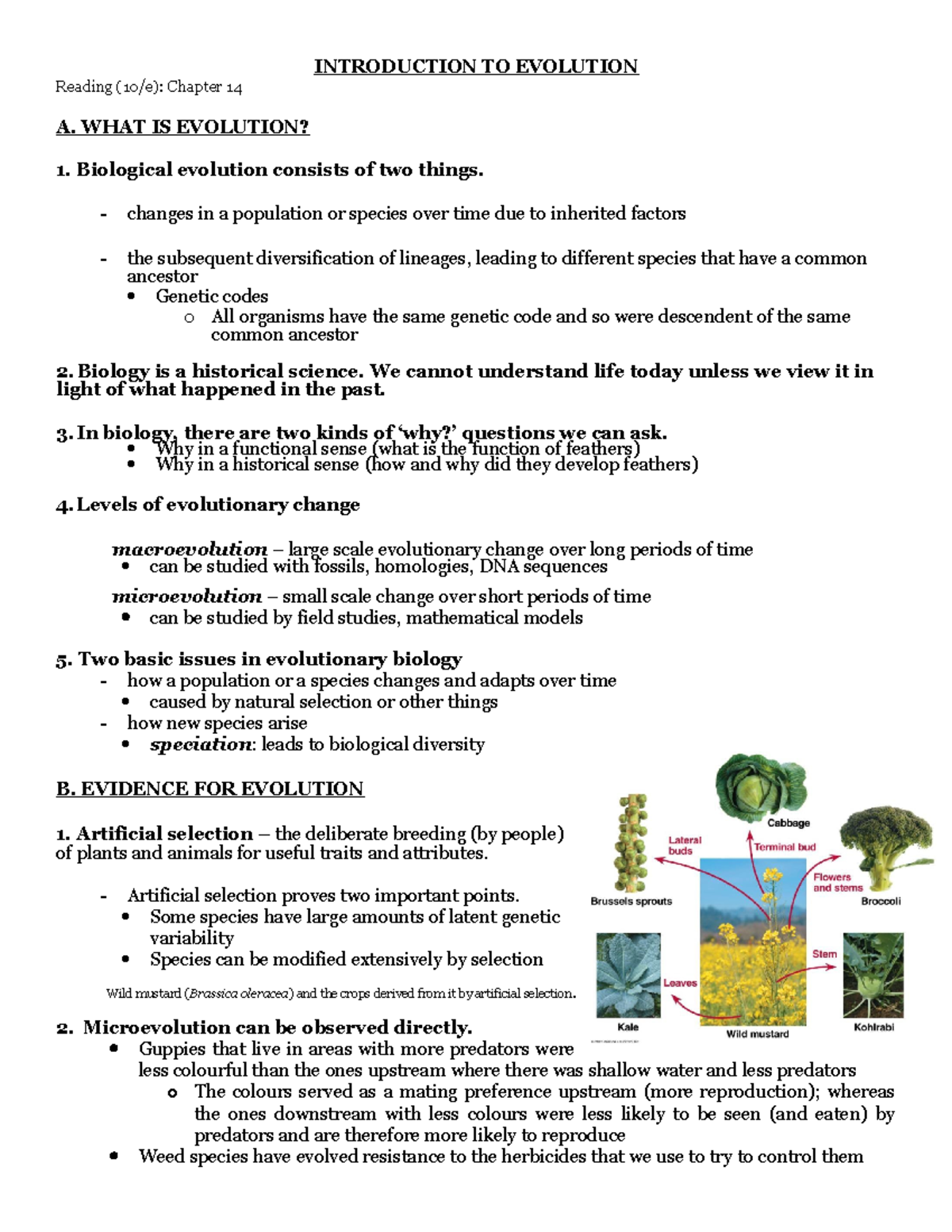 Introduction to Evolution - INTRODUCTION TO EVOLUTION Reading (10/e ...