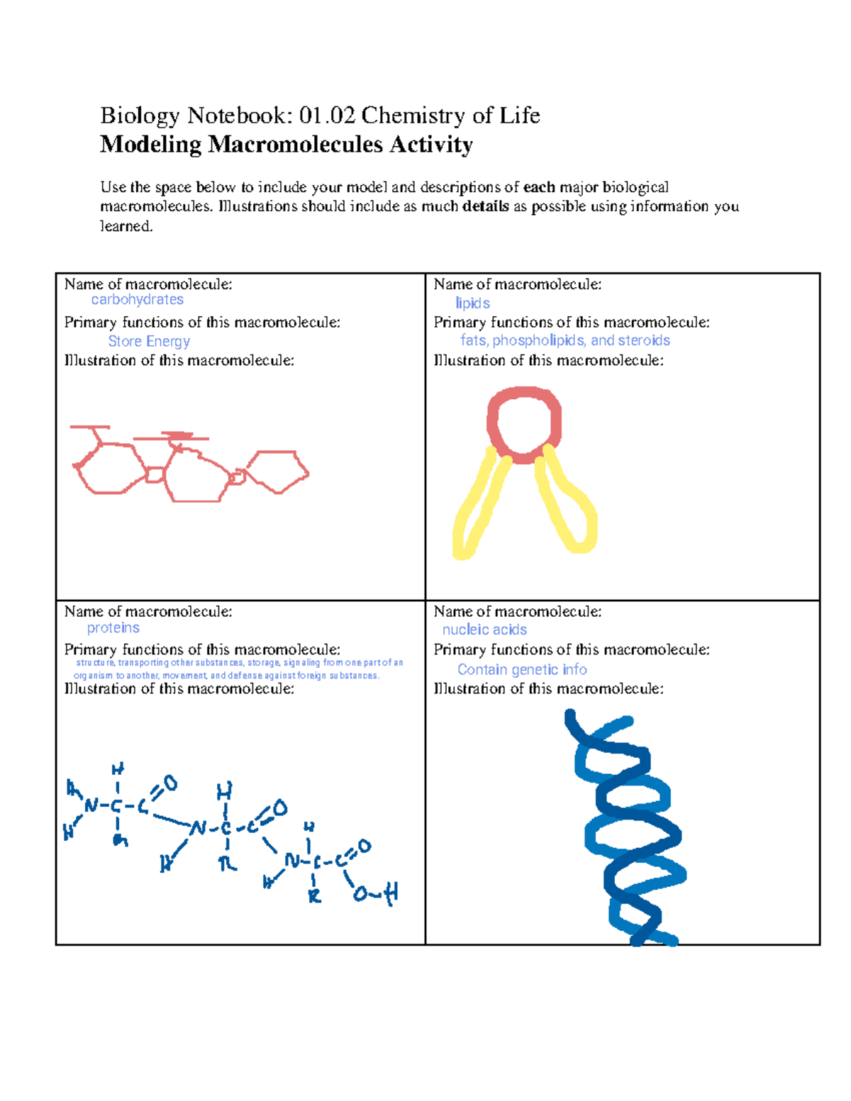 01.02 Chemistry of Life - Biology Notebook: 01 Chemistry of Life ...