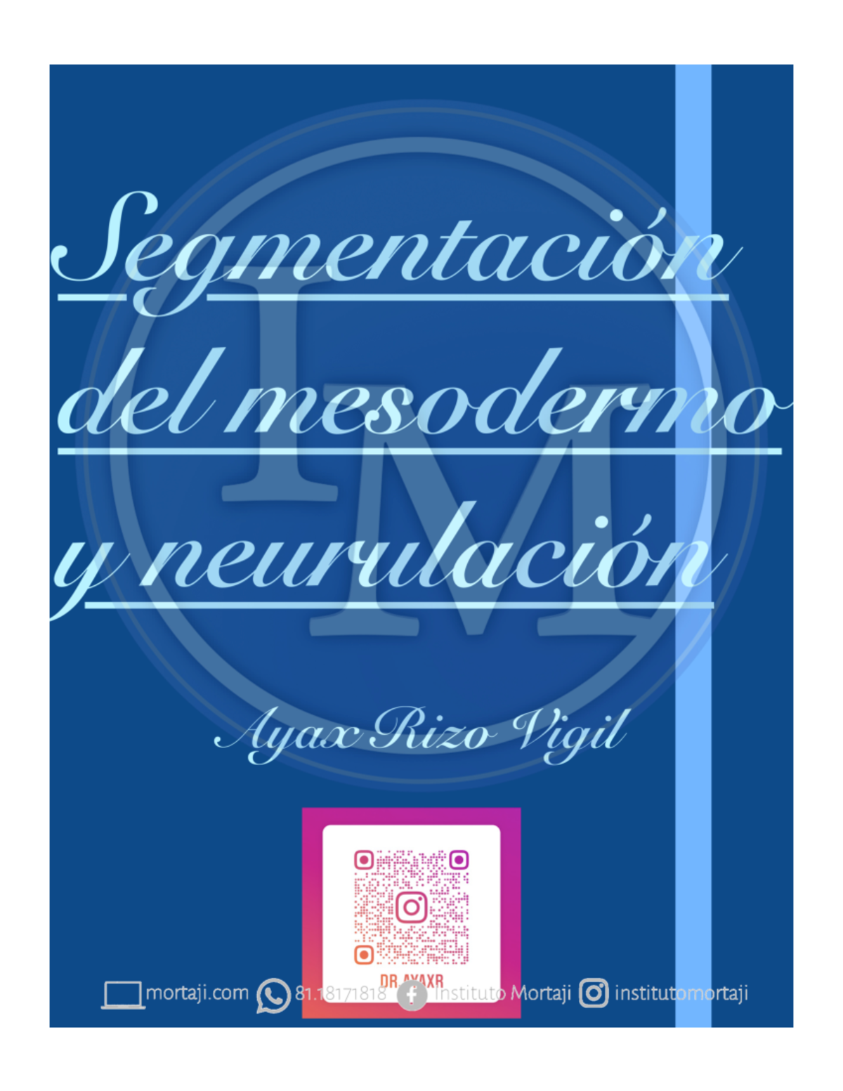 Para Alumnos Ayax Segmentación Del Mesodermo Y Neurulación V2 ...