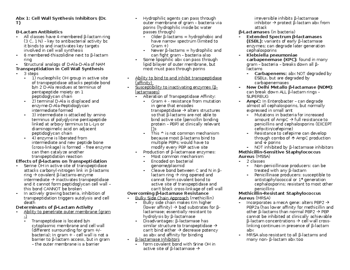 Abx 1 - Cell Wall Synthesis Inhibitors (Dr. T) - T) Β-Lactam ...