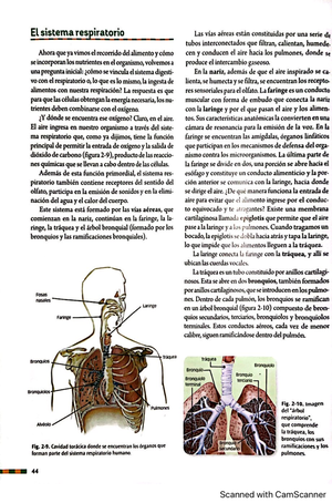 Las Polemicas Revelaciones de Dr Michael Wolf Nando Dominguez www ...