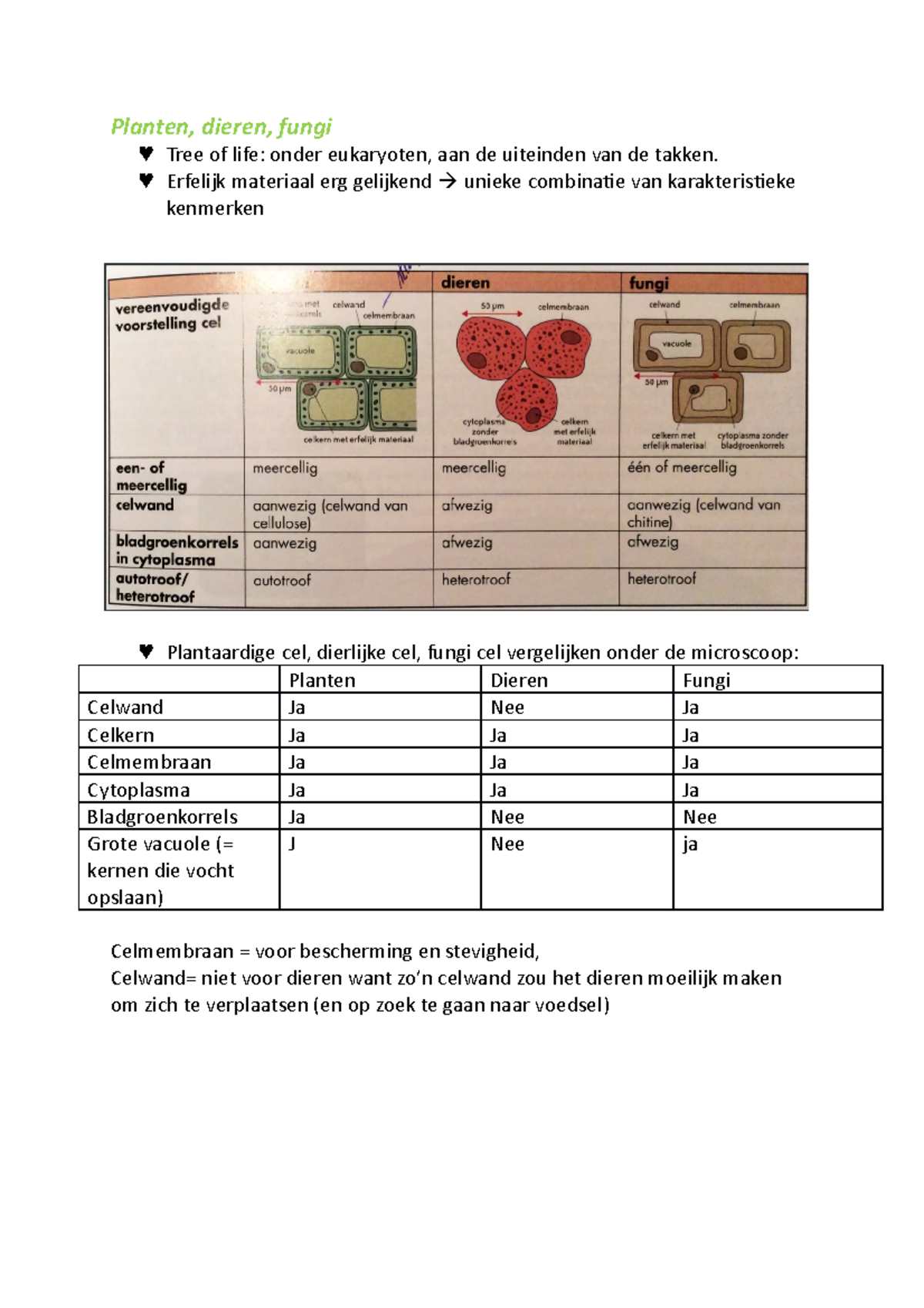 Orde scheppen 2 - samenvatting - Planten, dieren, fungi Tree of life ...