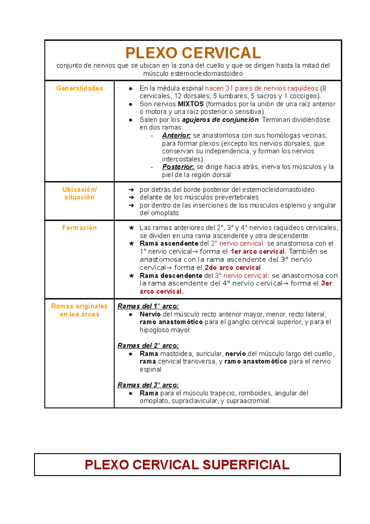 Plexo Cervical - PLEXO CERVICAL conjunto de nervios que se ubican en la ...