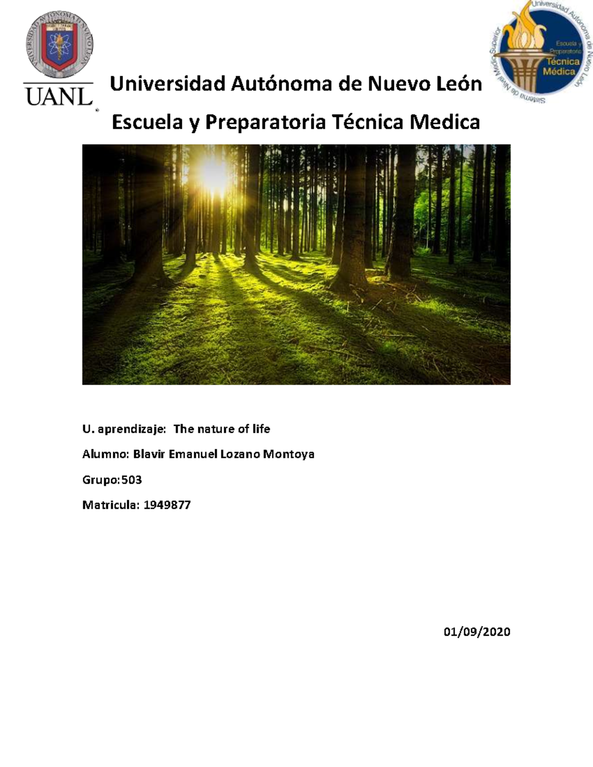 Dimensiones Apuntes 1 2 Warning Tt Undefined Function 32 Warning Tt Undefined Function