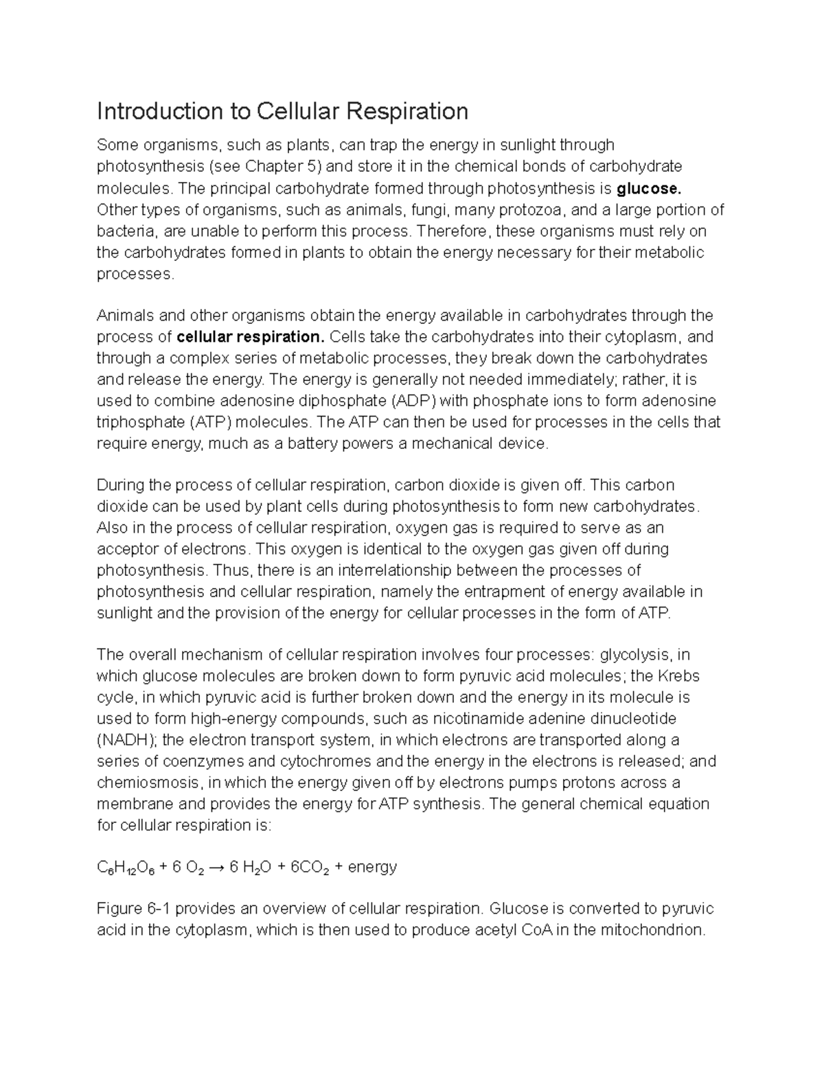 Introduction to Cellular Respiration - The principal carbohydrate ...