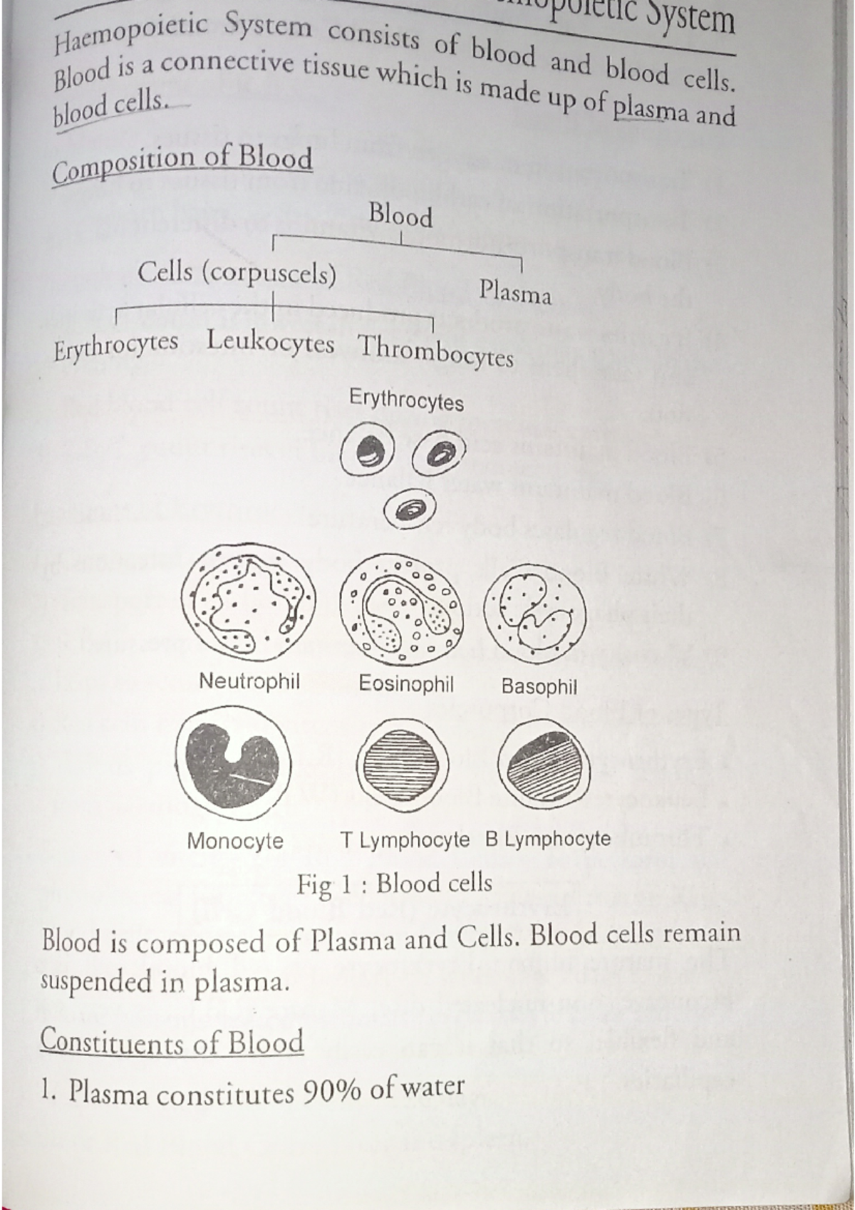 Pdf 1 - Haemopoietic system - Haemopoietic connective System consists ...