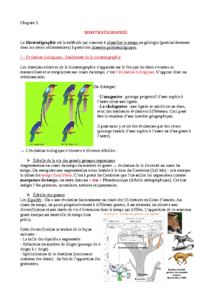 Chapitre 4 stratigraphie, géologie cours - Chapitre 4 LA STRATIGRAPHIE ...