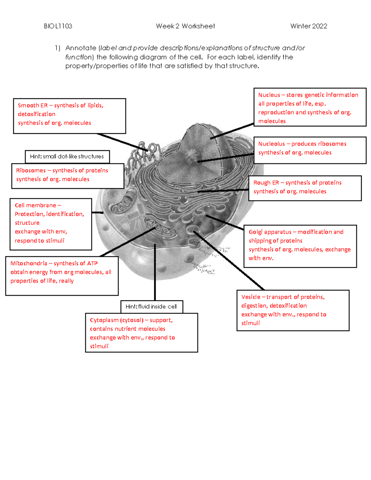 BIOL1103 Week 2 Worksheet Winter 2022 - Studocu