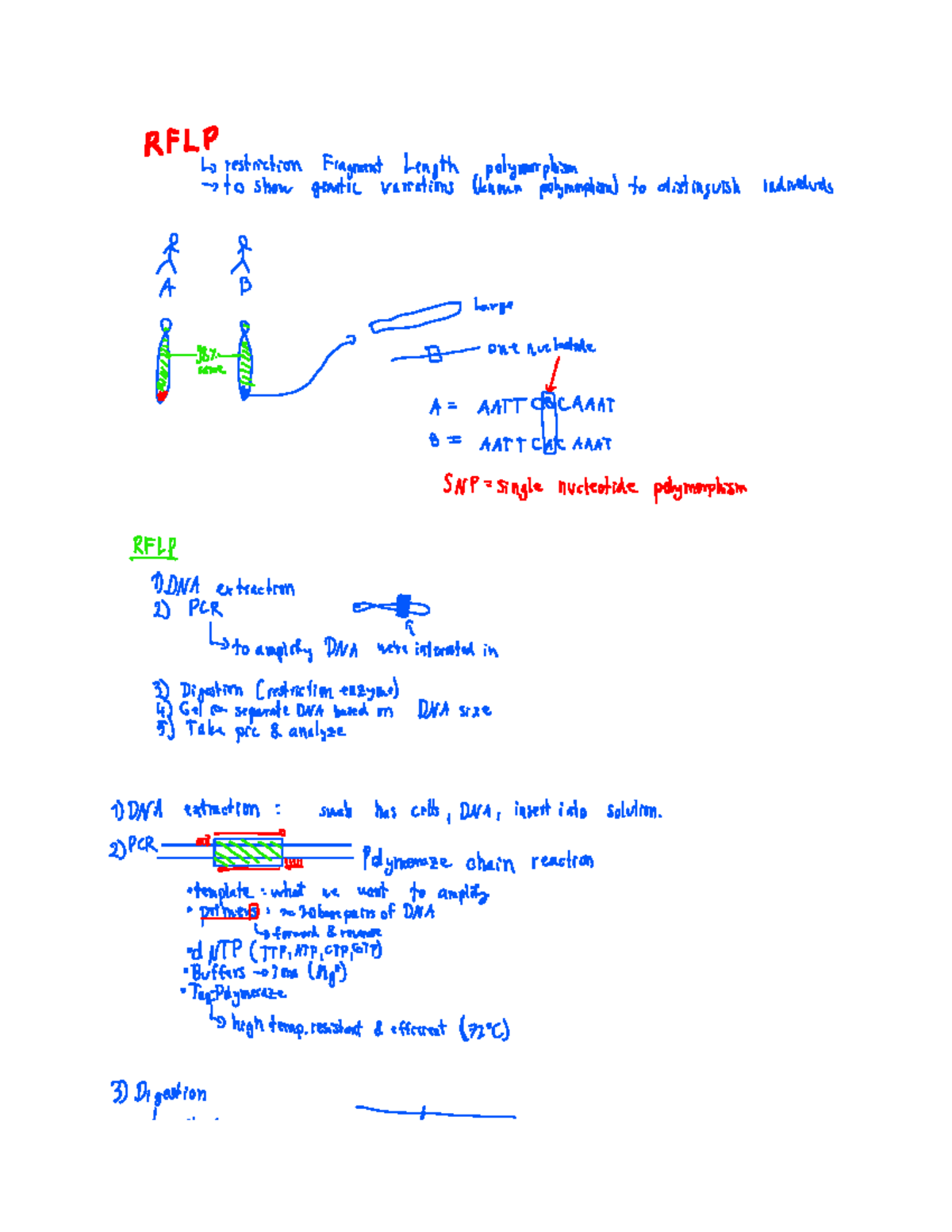 Project 3 notes and info - RF restriction Fragment Length polymorphism ...