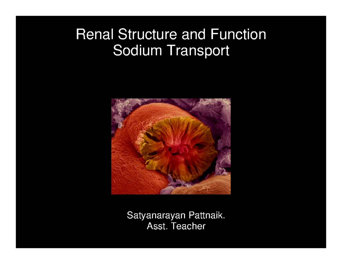 Renal-structure-moe 1 - Renal Structure and Function Satyanarayan ...