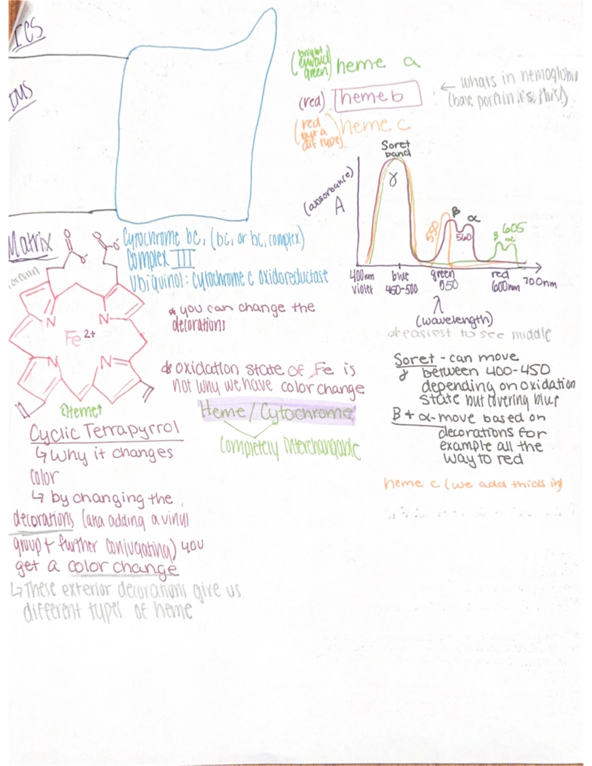 Exam 3 note pages 3 - (red) Theme b (bast: porhin i's /hisly Meme c ...