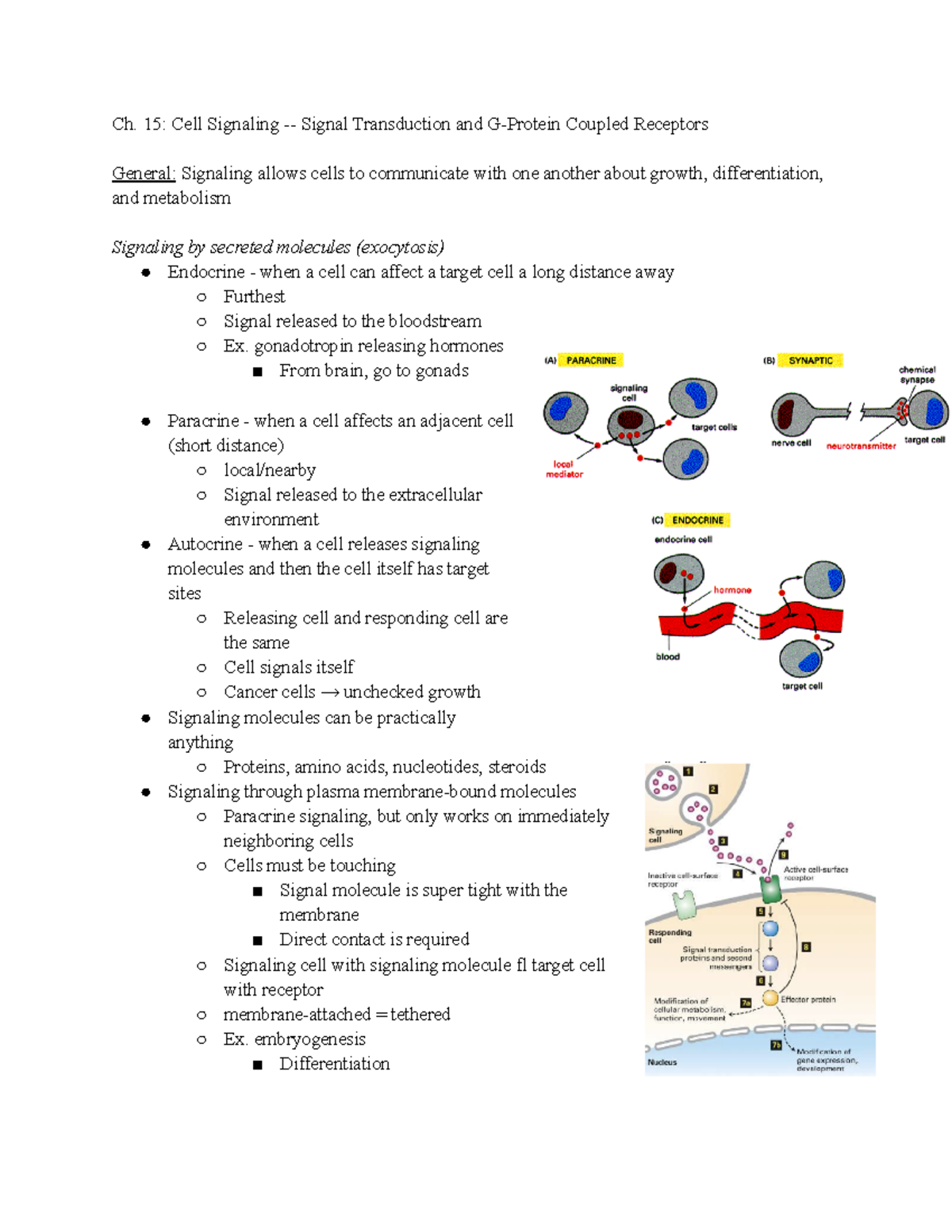 Study guide E3 - shortened - Ch. 15: Cell Signaling - Signal Transduction and G-Protein Coupled ...